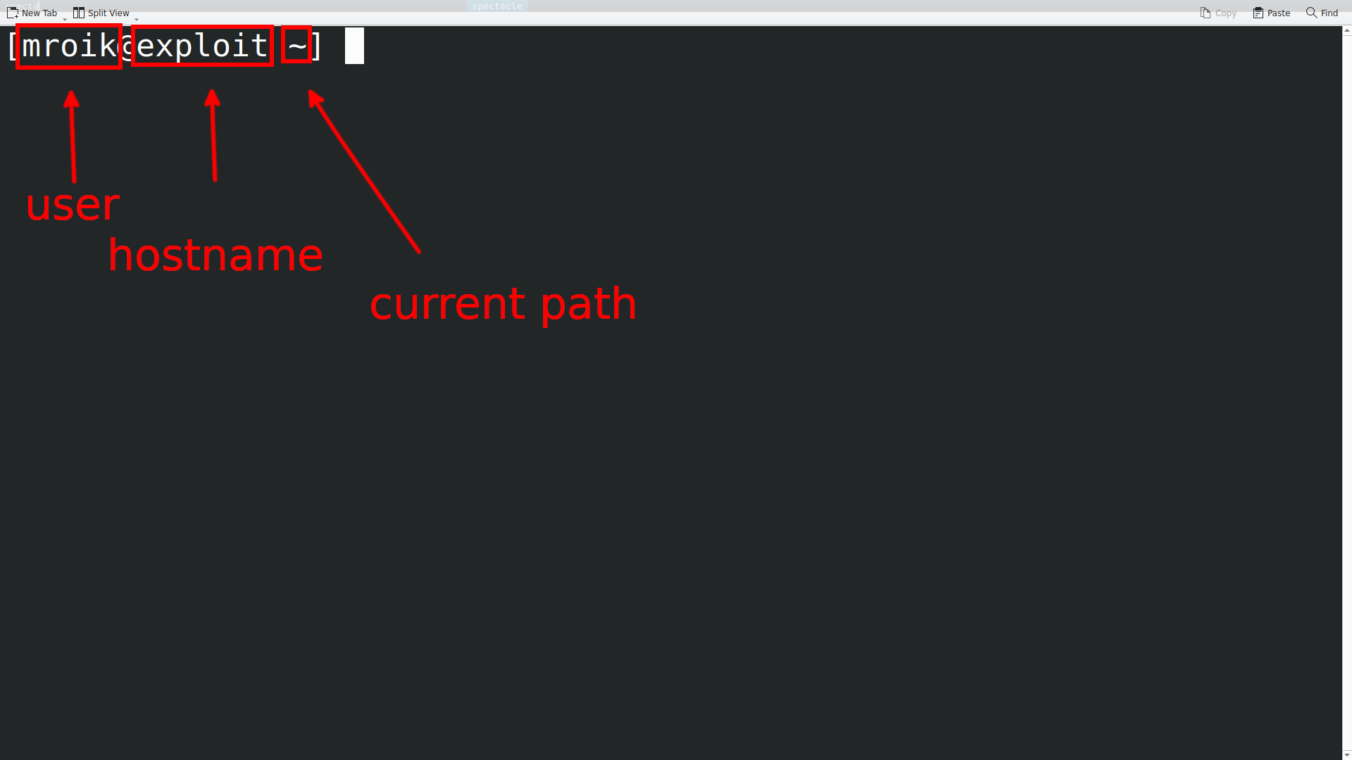 Introduction to the terminal